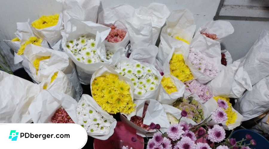 10 Toko Bunga di Jember 24 Jam Termurah