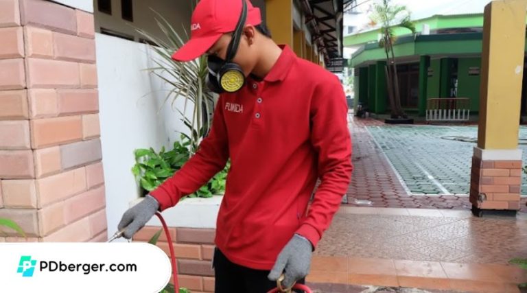 10 Pest Control di Jakarta Terbaik, Bersertifikat, dan 24 Jam